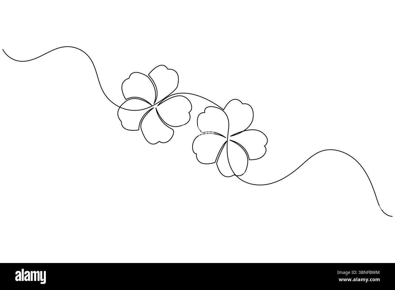 Hibiscus flower one line drawing in minimalist style isolated on white ...