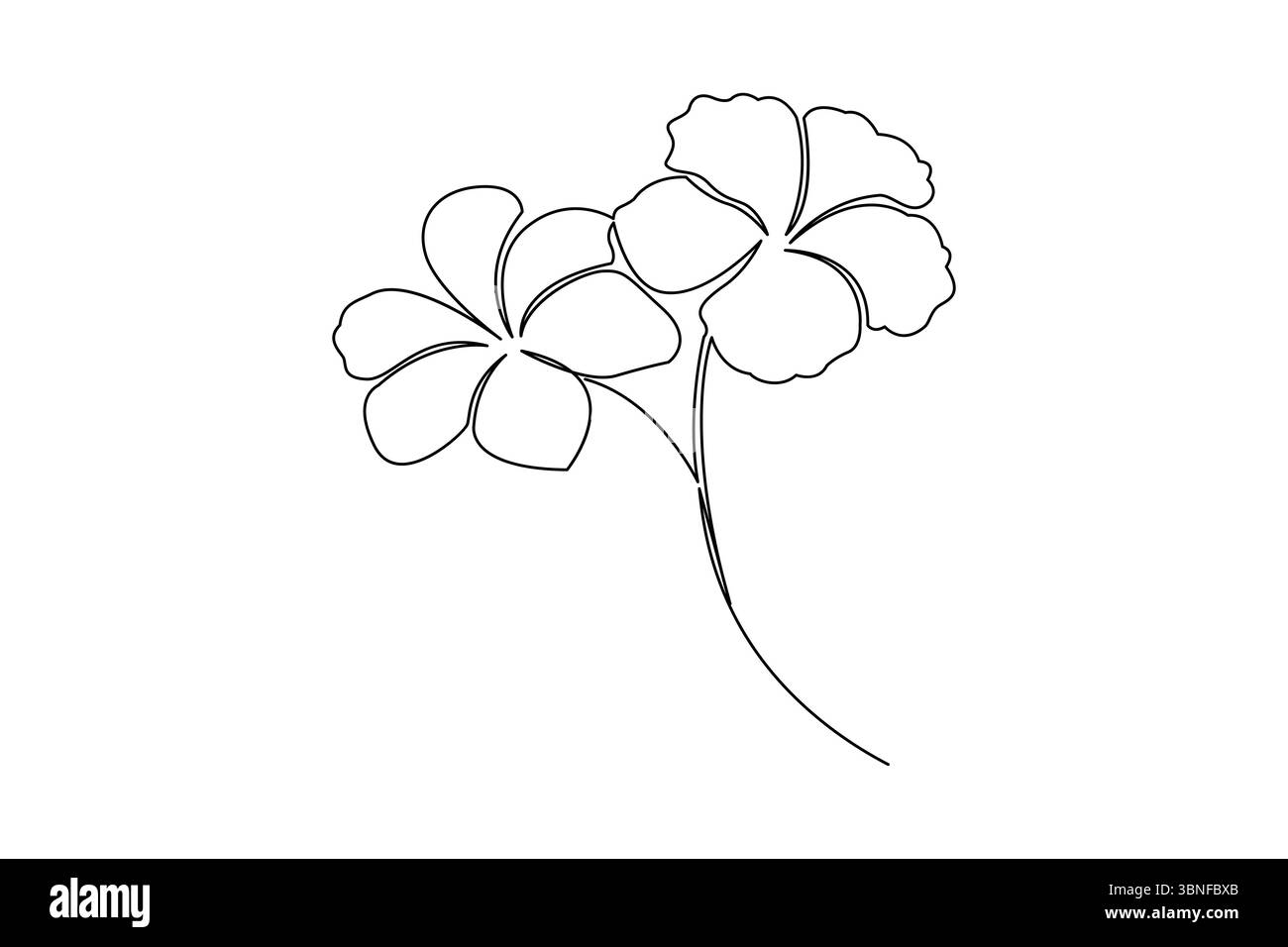 Hibiscus flower one line drawing in minimalist style isolated on white ...