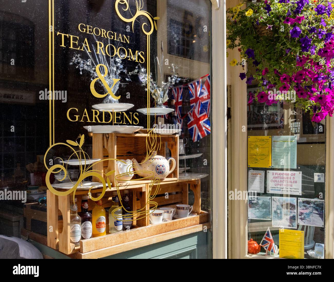 Tea display hi-res stock photography and images - Alamy