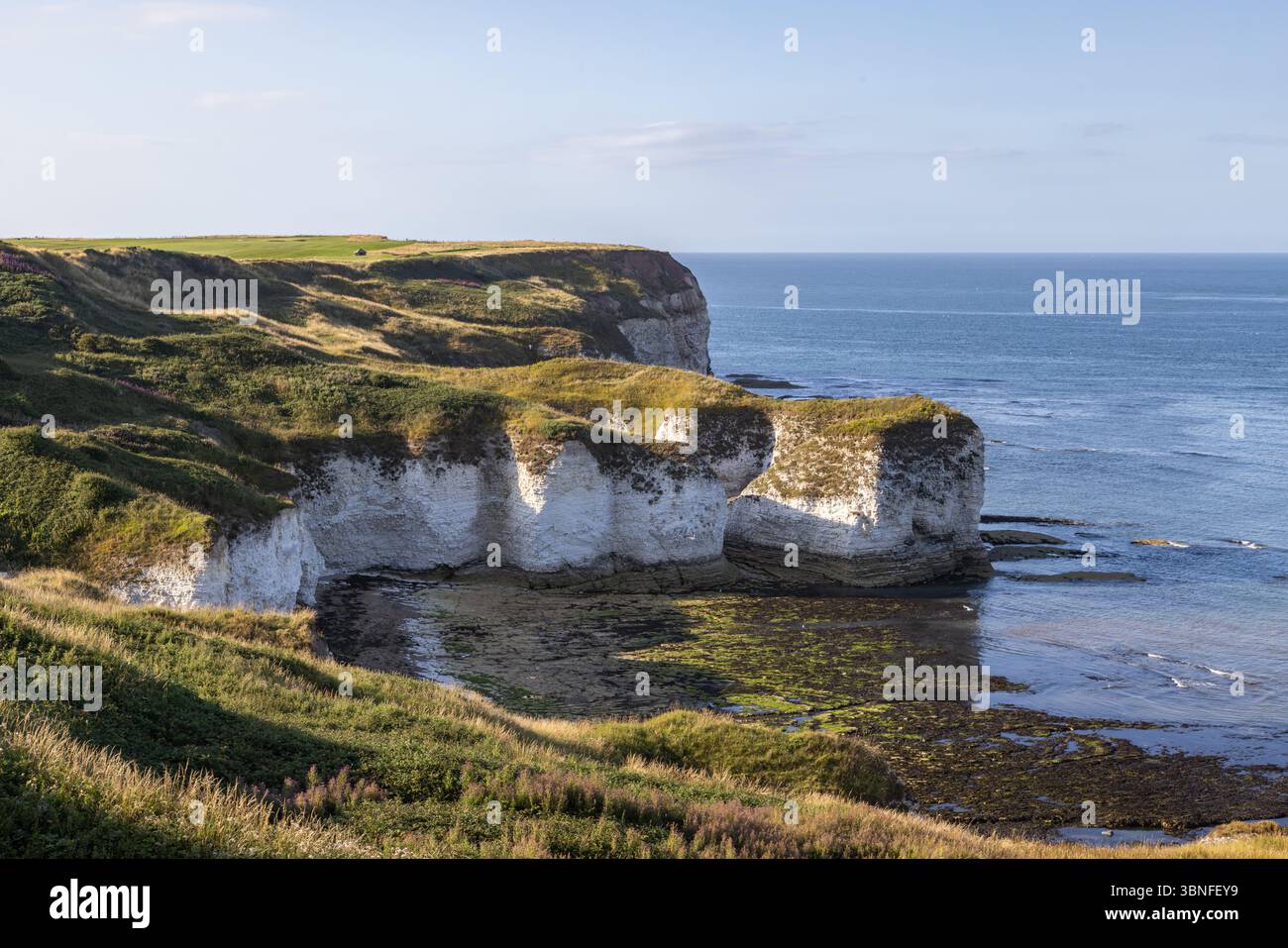 Chalk cliffs at Flamborough Head on the Yorkshire coast, England ...