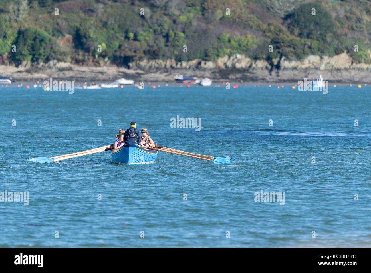 Salcombe rowing club training in a blue Cornish gig rowing boat, wooden ...