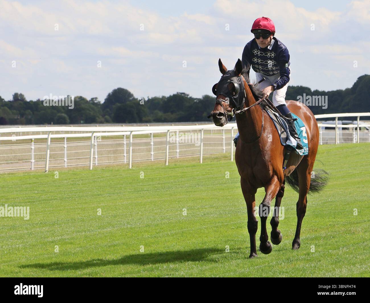 Callum Shepherd riding Percy Shelley at the 16:15 28-06-2025 York ...