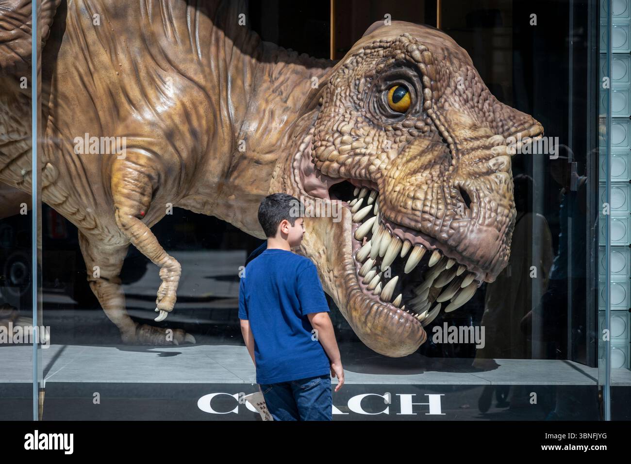 London, UK. 2 July 2025. People pass the T Rex dinosaur in the window ...