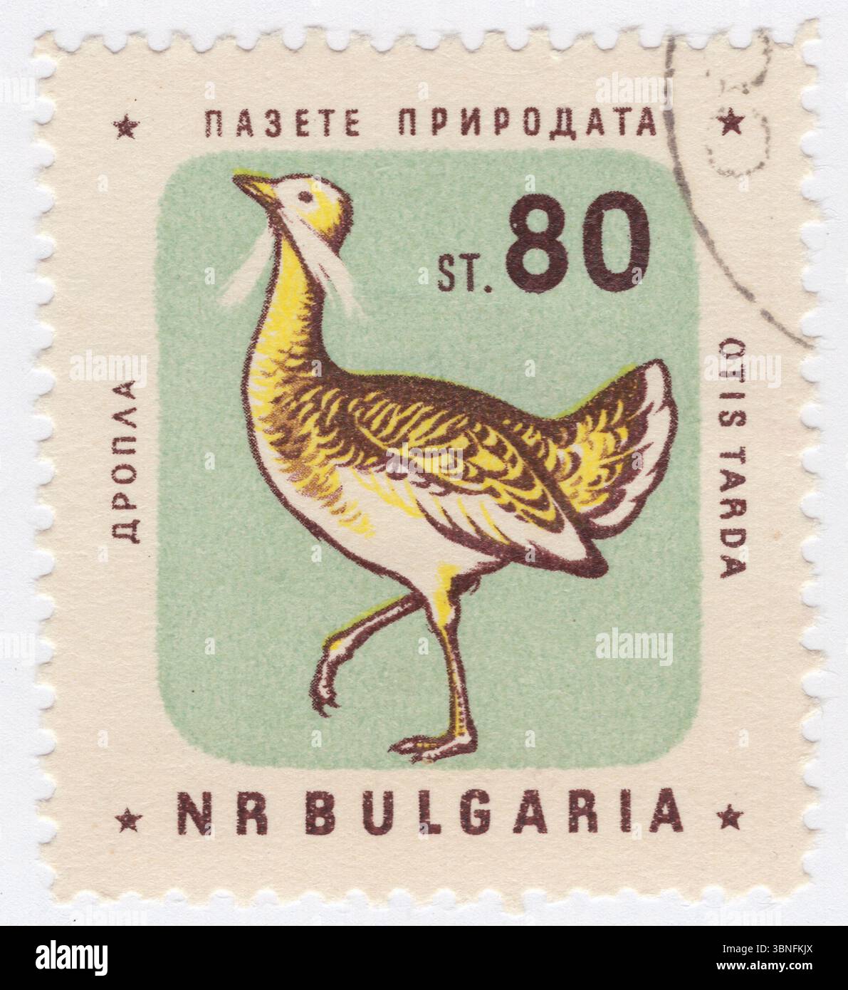 BULGARIA — 1961 March 31: 80 stotinki brown, bluish green and yellow ...