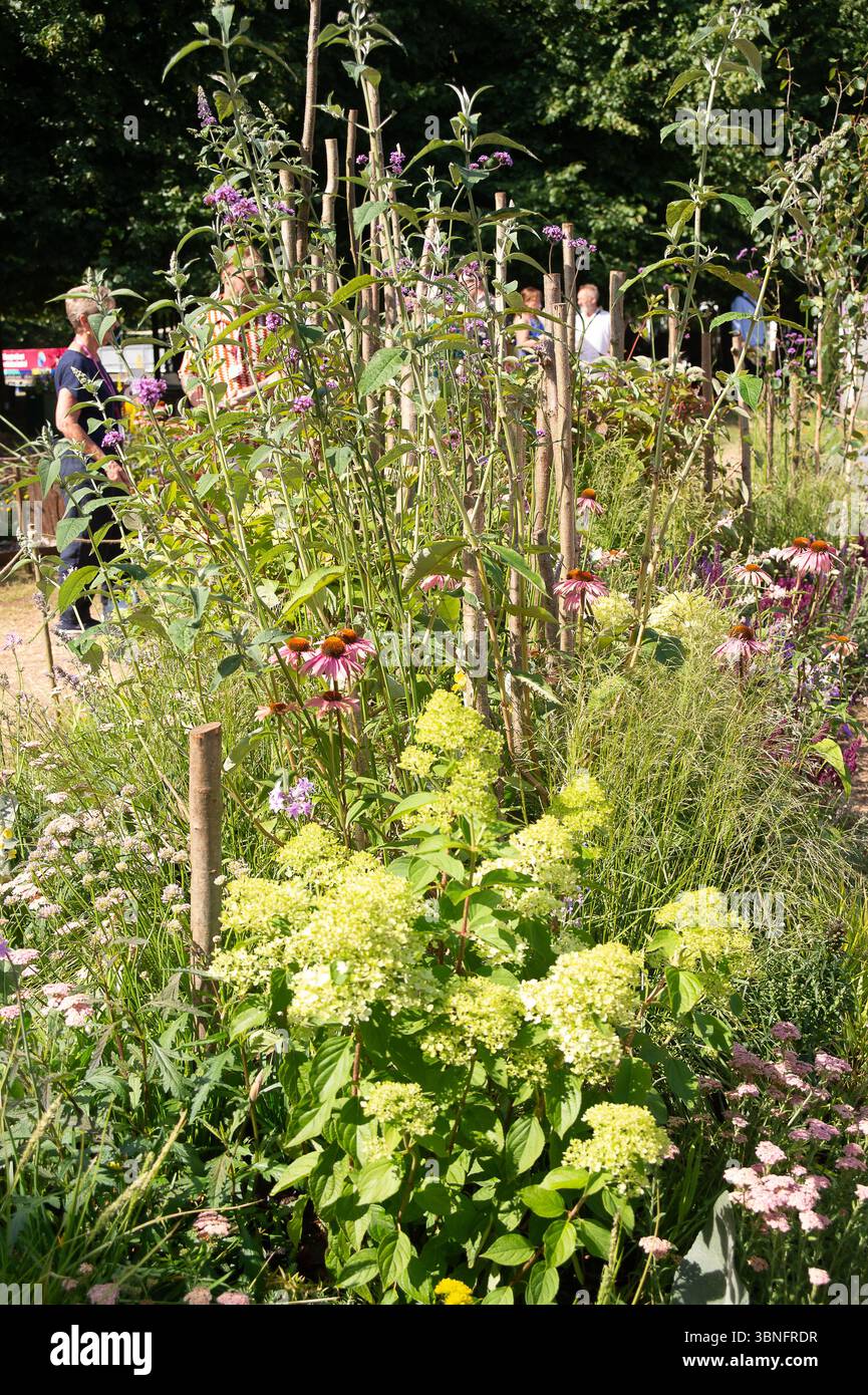 East Mosley, UK. 30th June, 2025. A Pocket Planting Garden, Silver Gilt ...