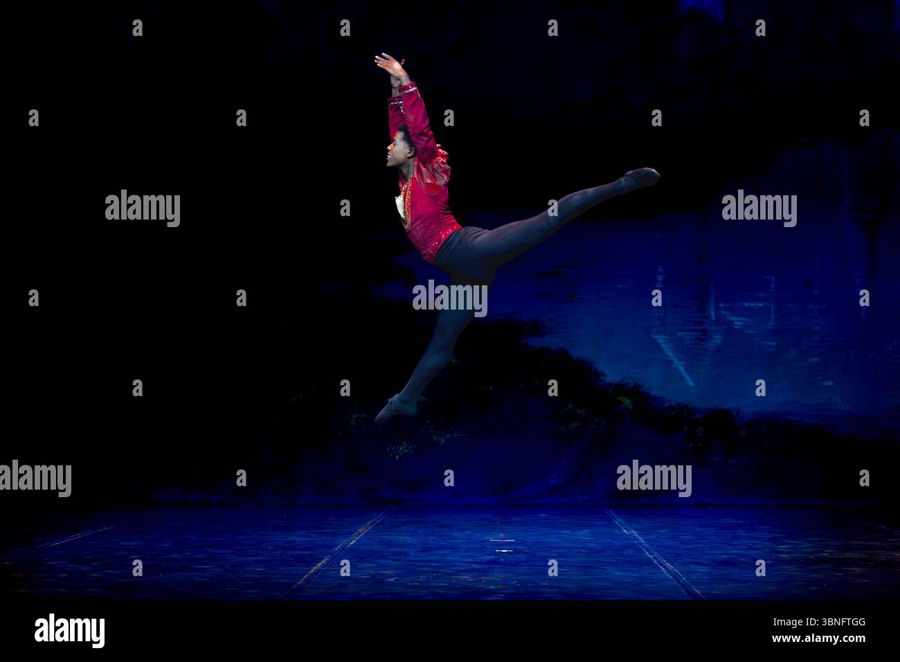 A dancer during the performance of 'Swan Lake' version by Alicia Alonso ...
