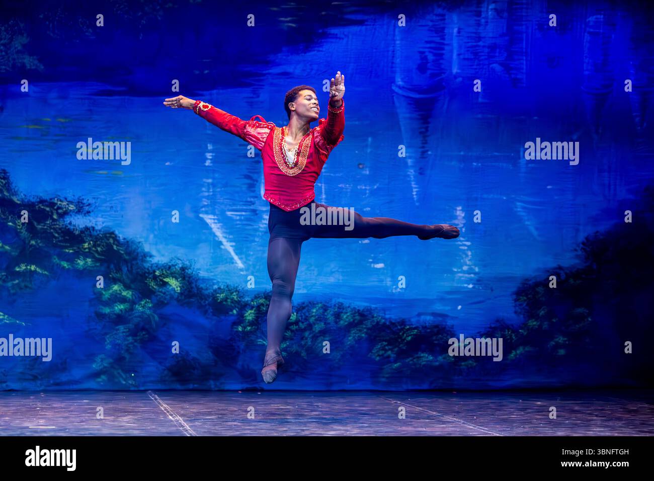 A dancer during the performance of 'Swan Lake' version by Alicia Alonso ...