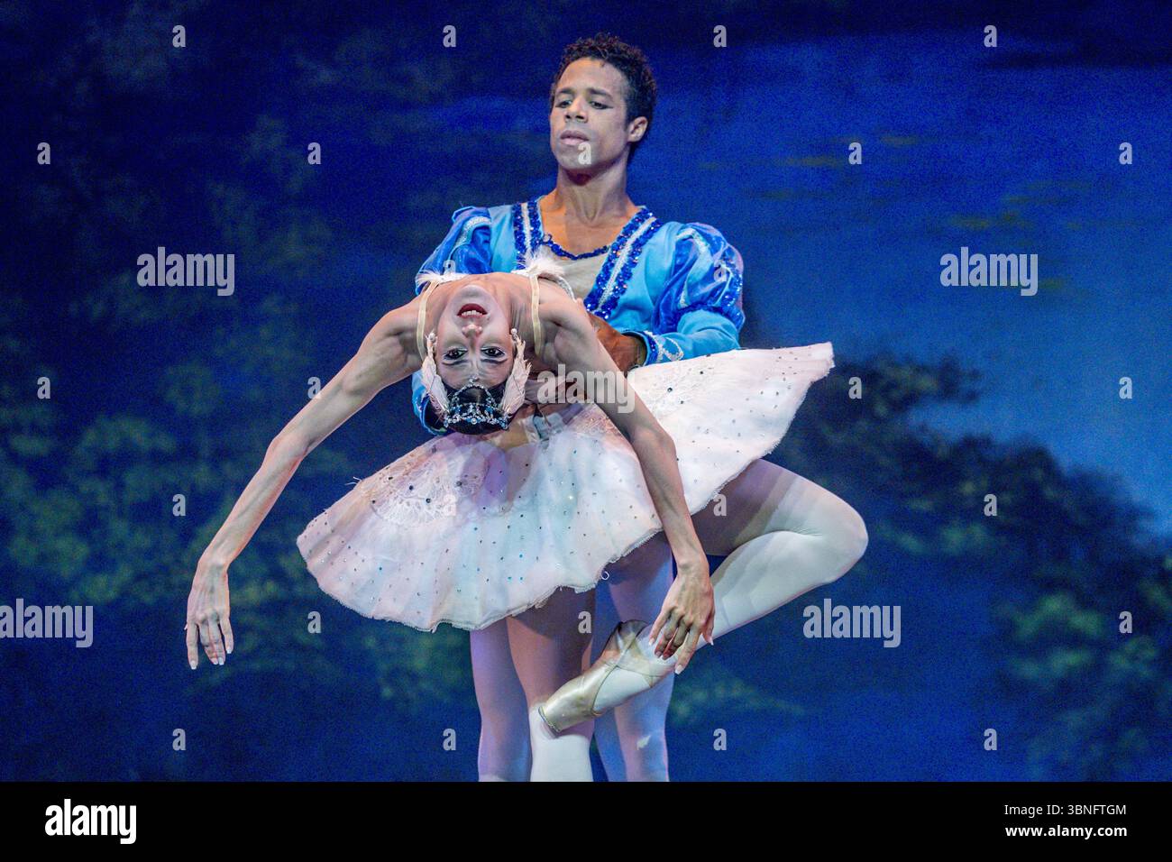 Two dancers during the performance of 'Swan Lake' version by Alicia ...