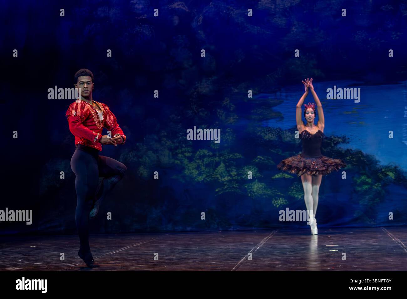 Two dancers during the performance of 'Swan Lake' version by Alicia ...