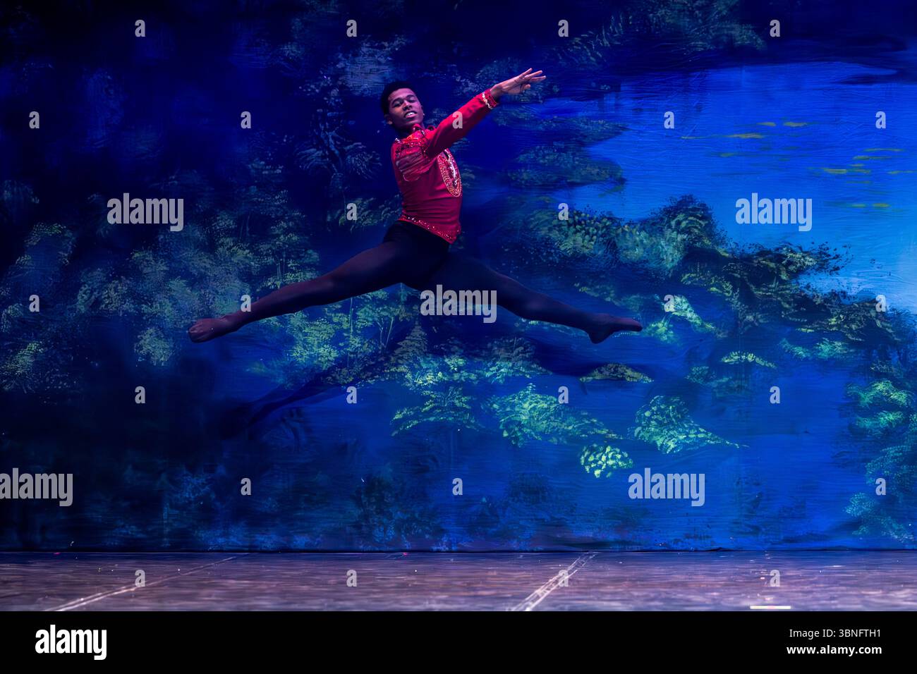 A dancer during the performance of 'Swan Lake' version by Alicia Alonso ...