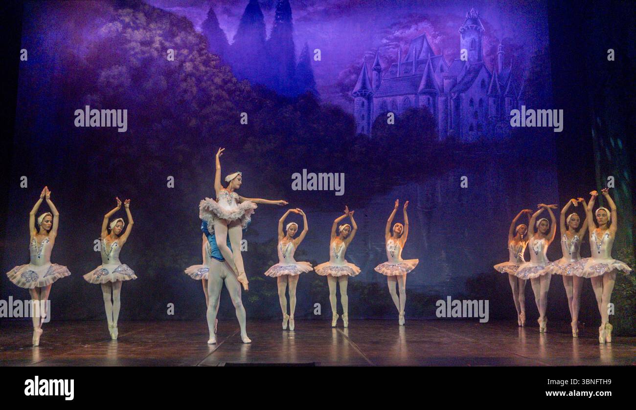 Several dancers during the performance of 'Swan Lake' version by Alicia ...