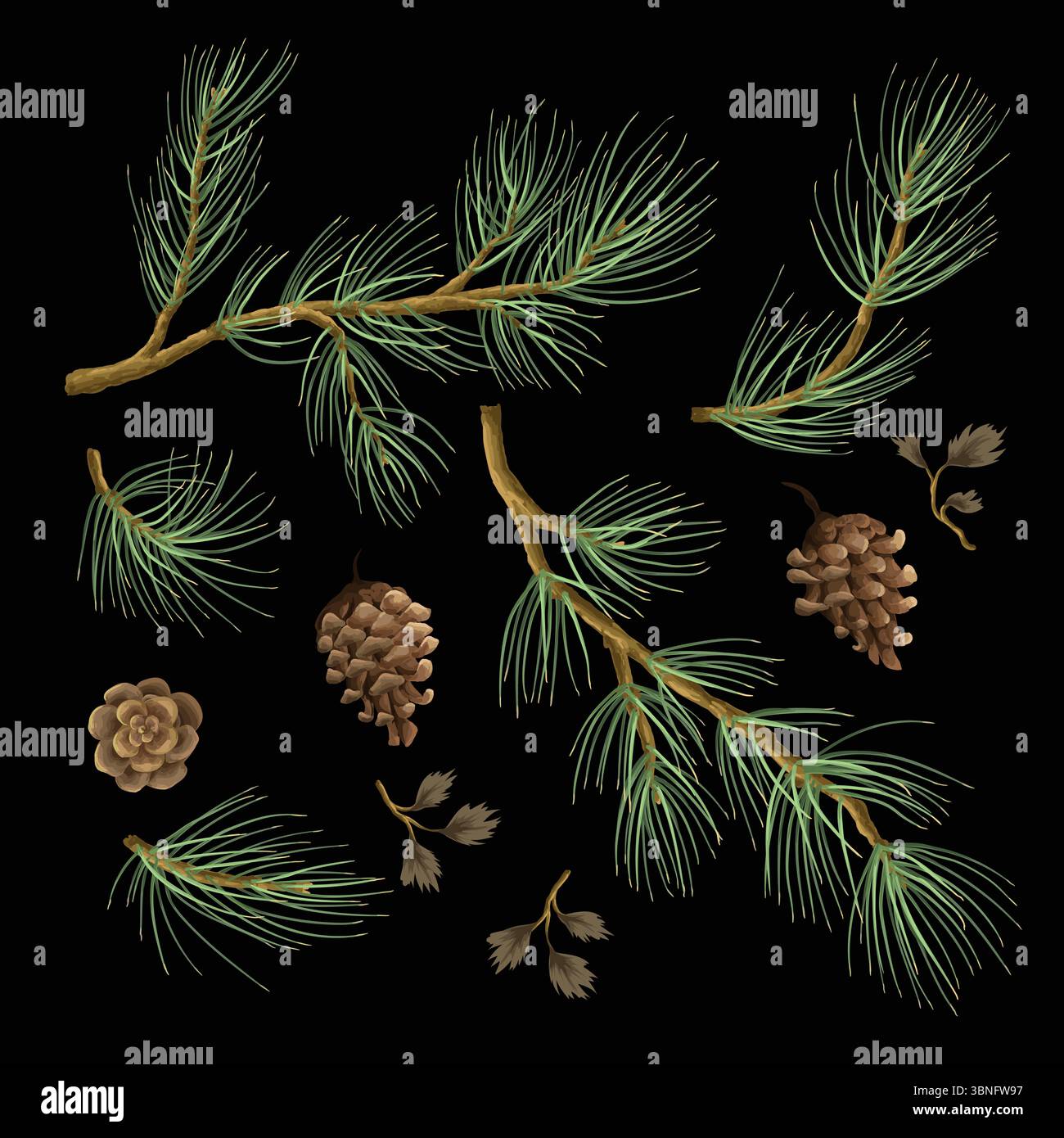 Pine cones decor christmas Stock Vector Images - Alamy