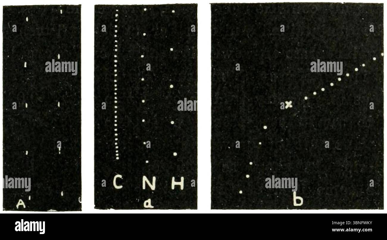 Life Movements in Plants Vol 1 Fig 59 Stock Photo - Alamy