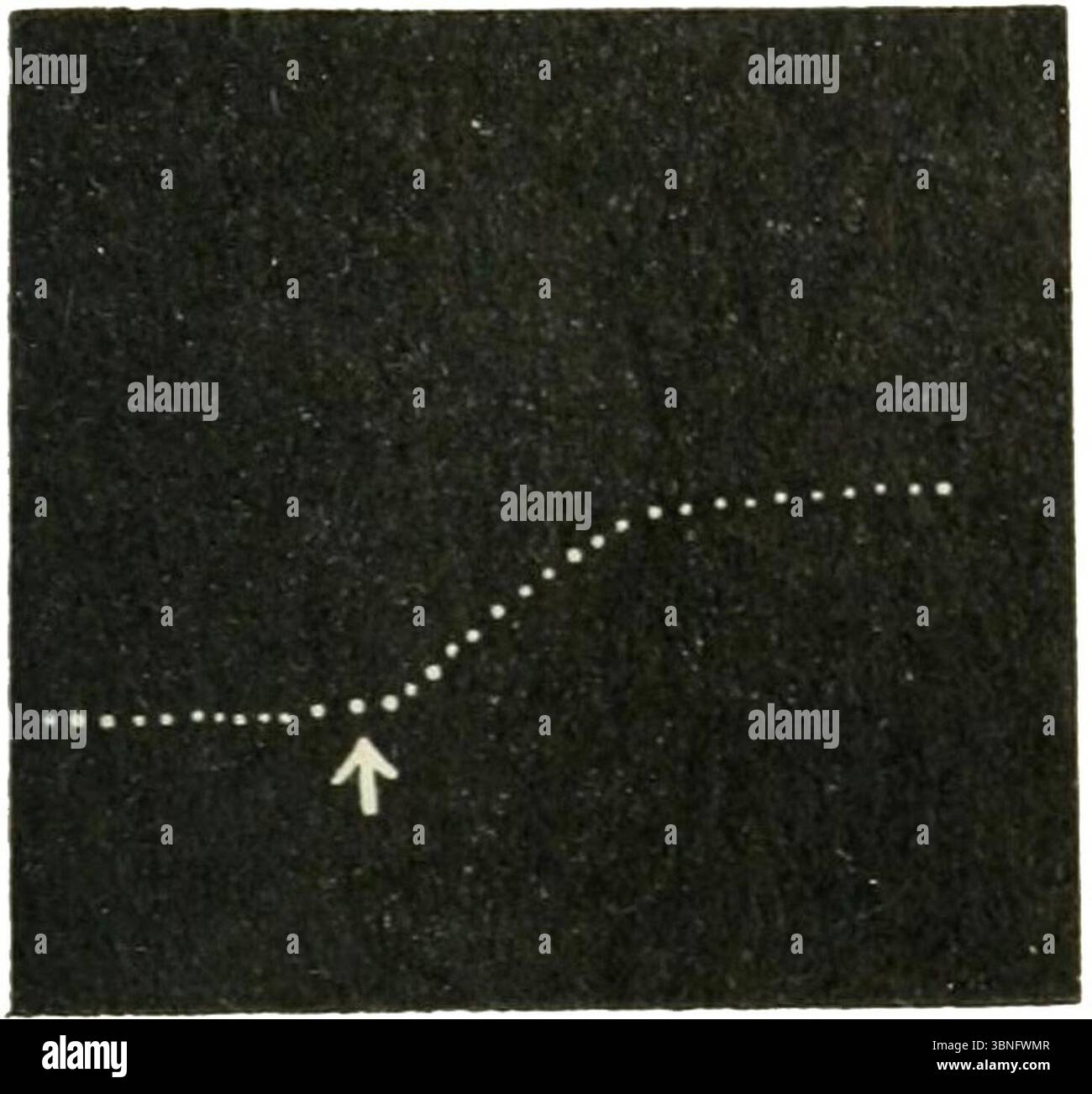 Life Movements in Plants Vol 1 Fig 60 Stock Photo - Alamy