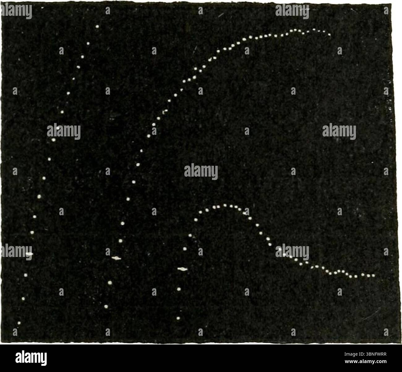 Life Movements in Plants Vol 1 Fig 73 Stock Photo - Alamy