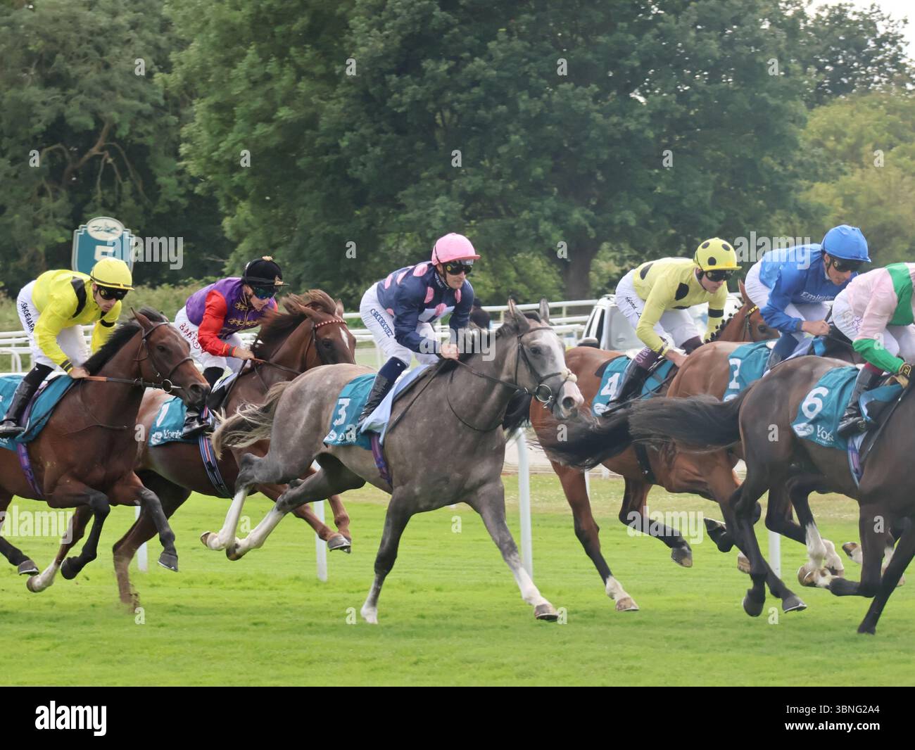Oisin murphy york 2025 hi-res stock photography and images - Alamy