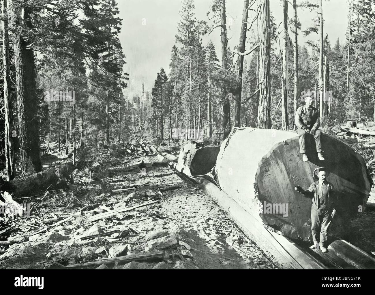 Log Train Chute Stock Photo - Alamy