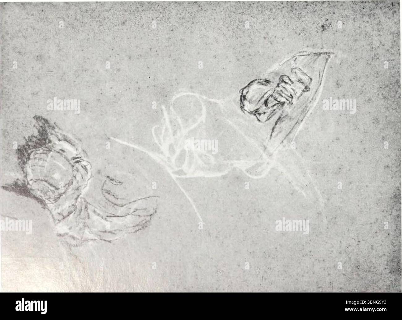 Longhi - Pignatti 1968, pl. 036 Stock Photo - Alamy