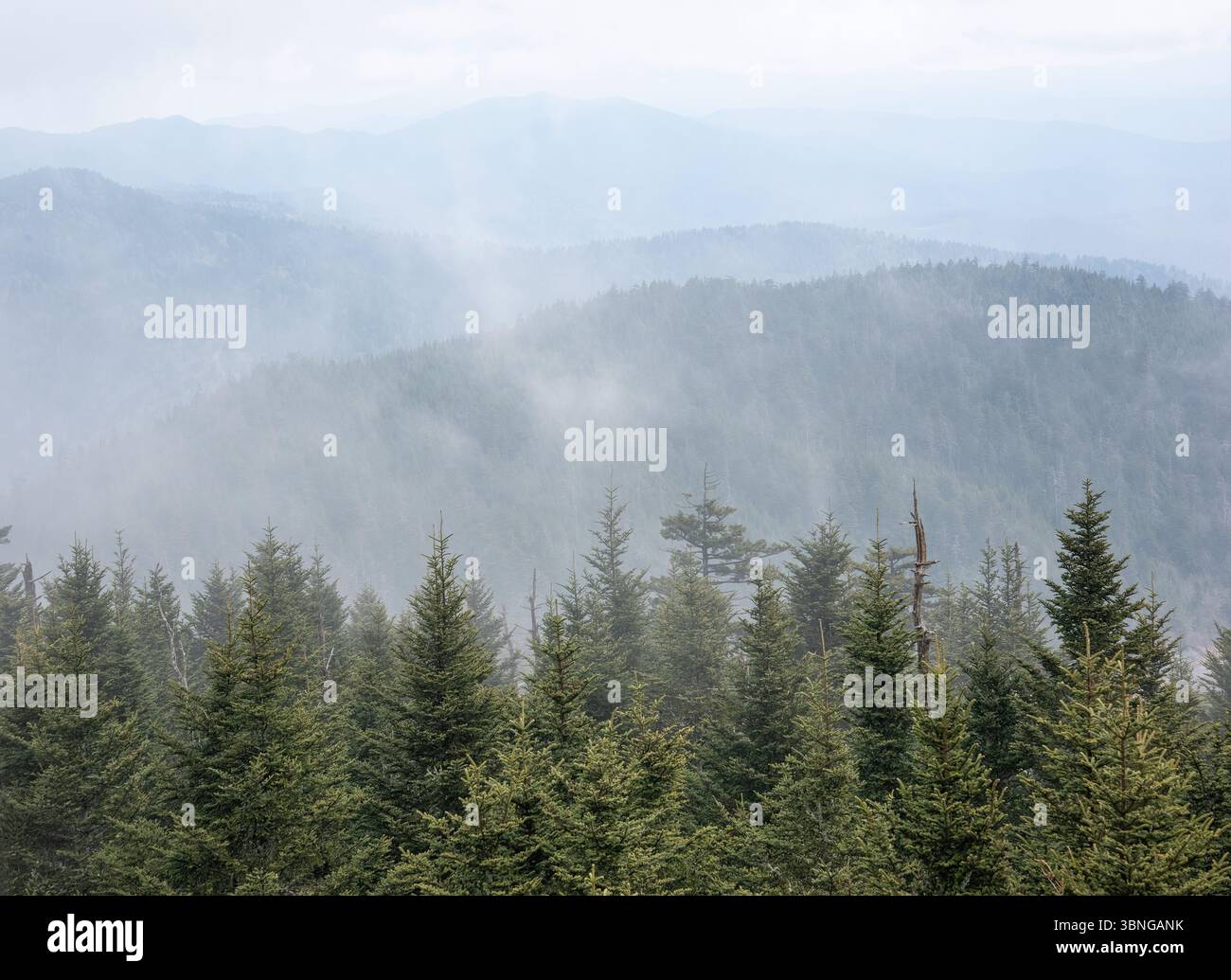 Mist from the summit of Kuwohi (Clingman's Dome), Great Smoky Mountains ...