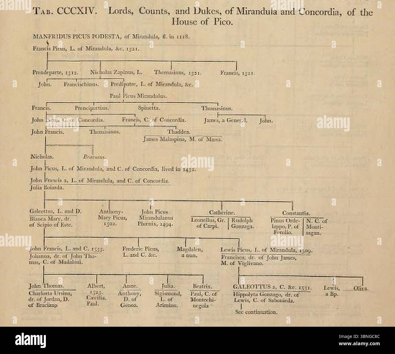 Lords, Counts and Dukes of Mirandula and Concordia of the House of Pico ...