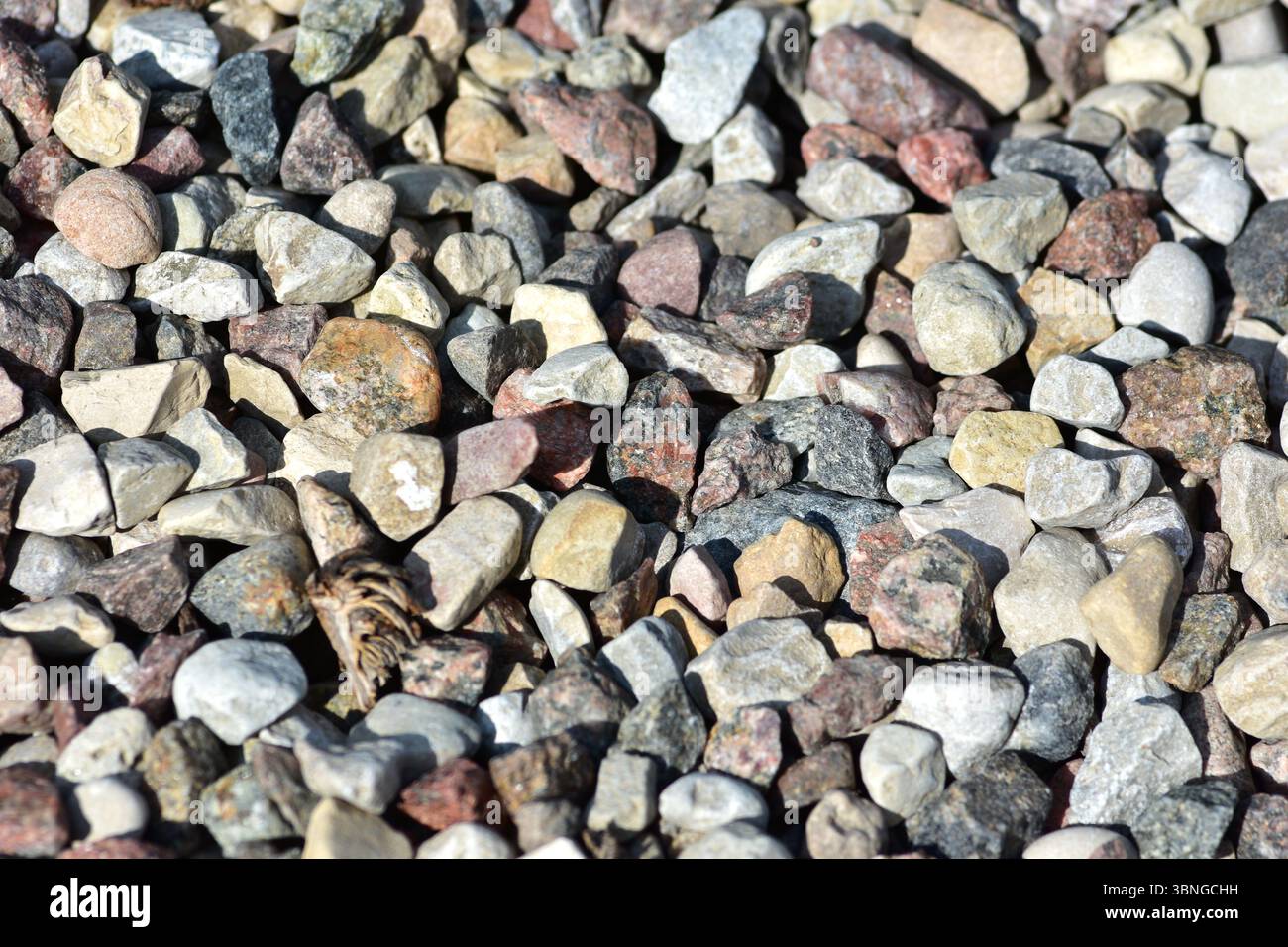 Small rocks pattern and texture background. Tiny stones gravel ...