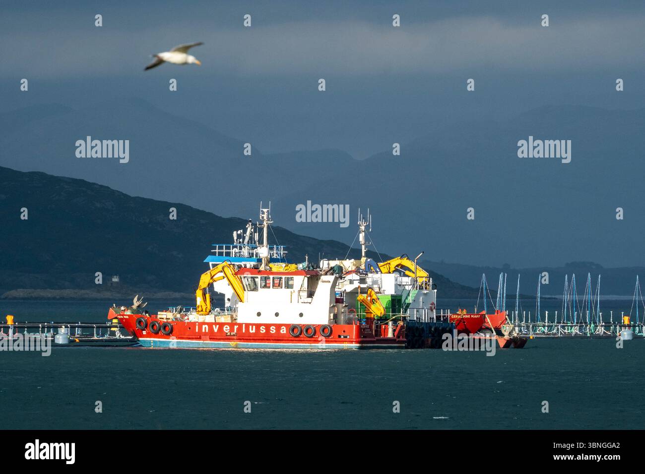 Inverlussa marine services vessel hi-res stock photography and images ...