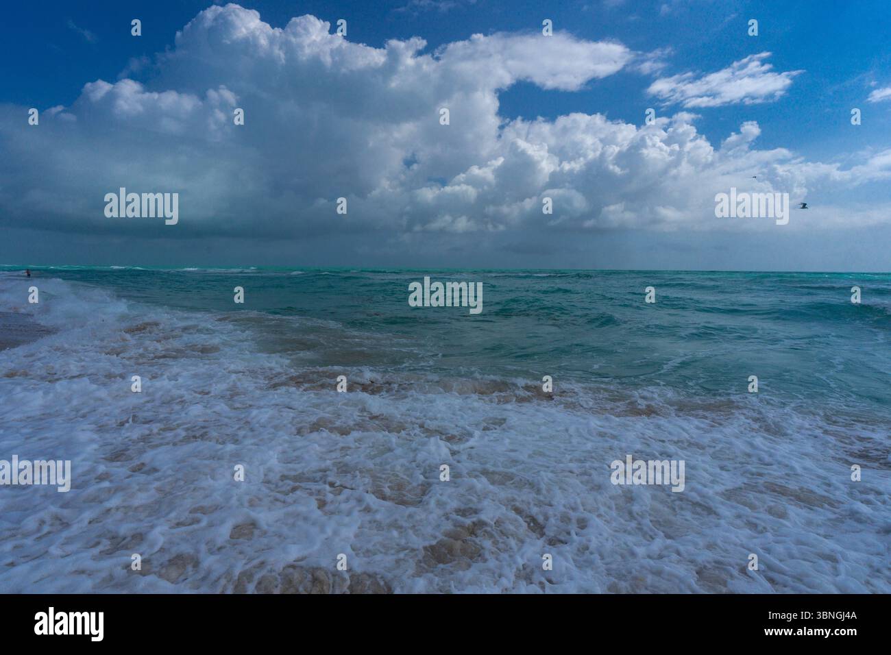 Summer beach shore. Colorful sea beach water. Warm ocean breeze. Summer ...