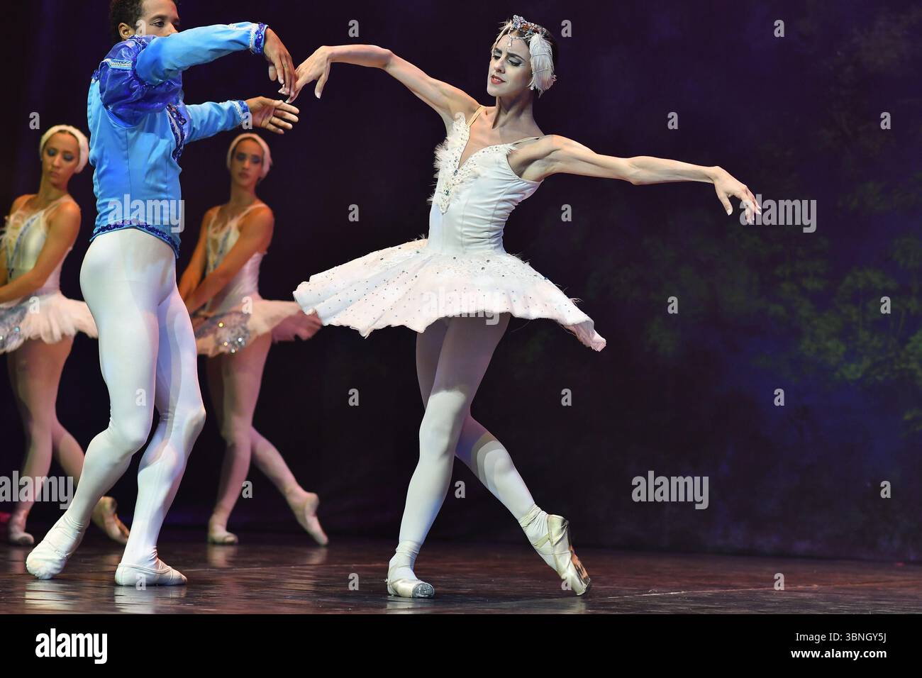 Patricia Hernandez, during the Performance of 'Lake of the Swans' at ...
