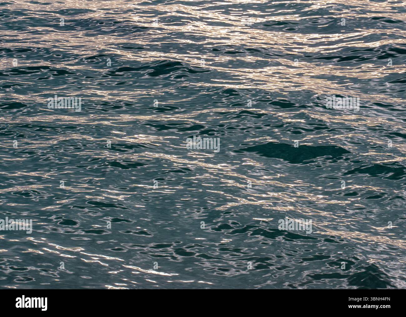Sunlight reflecting off gentle ocean ripples in Hawaii, creating a ...