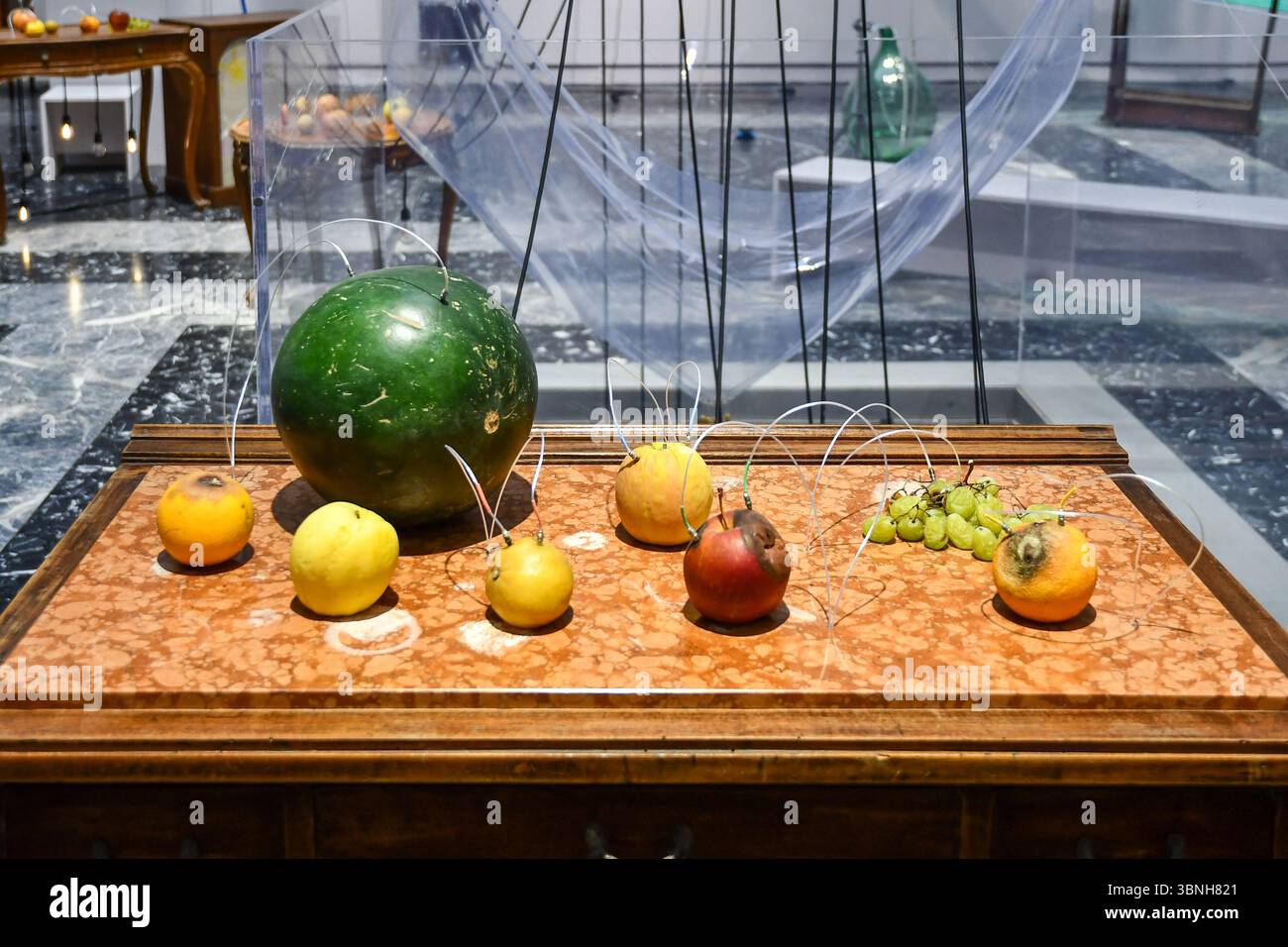 "Compose" art installation by Yuko Mohri, at the Japanese Pavilion of the 60th Venice Art ...