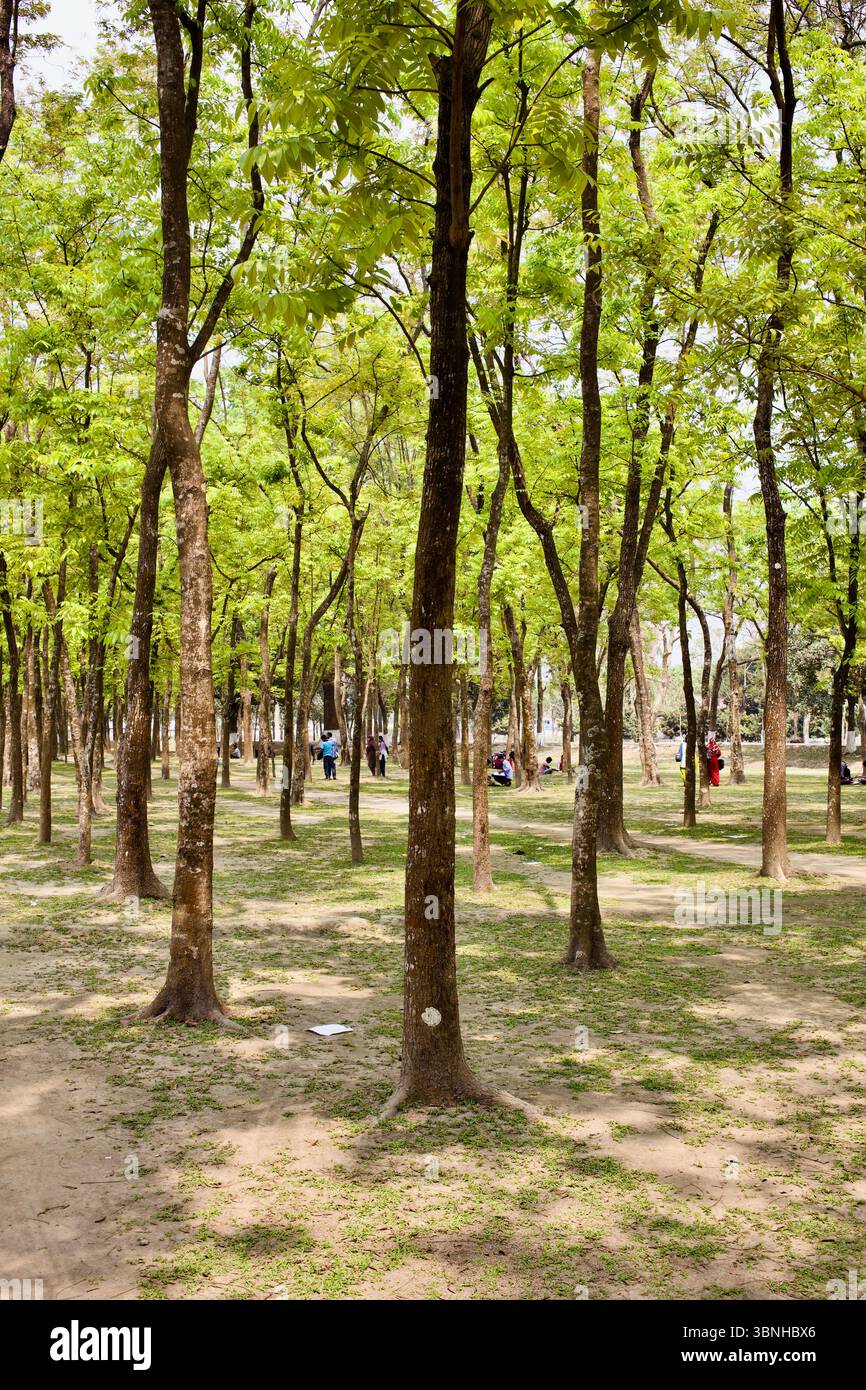 Rangpur university hi-res stock photography and images - Alamy