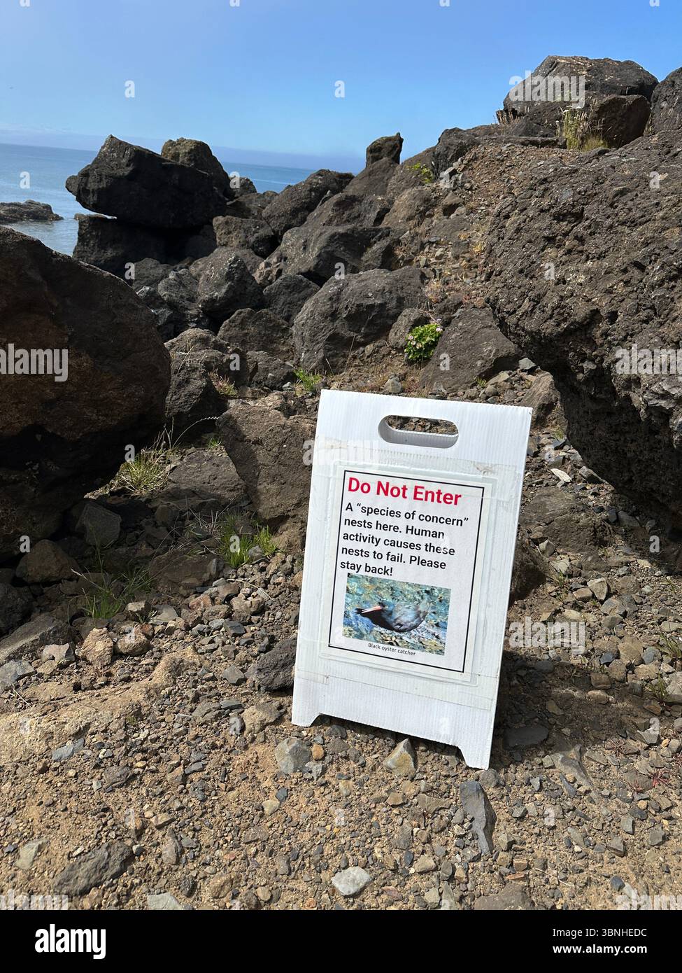 Nesting birds warning sign smartphone stock photos and images - Alamy