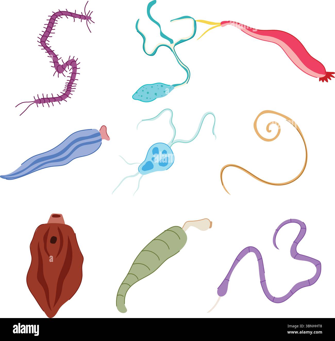parasite set cartoon vector illustration Stock Vector Image & Art - Alamy