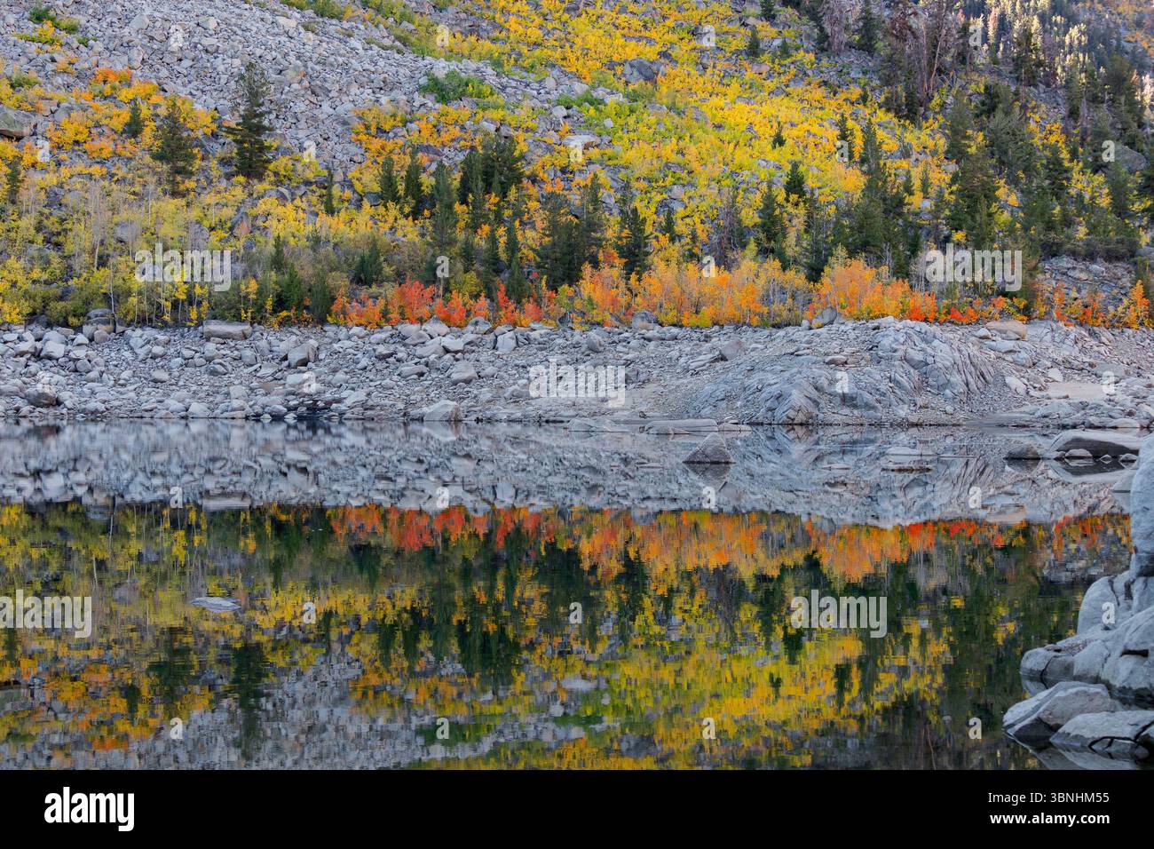 Lake Sabrina during the fall colors and a low water year ...