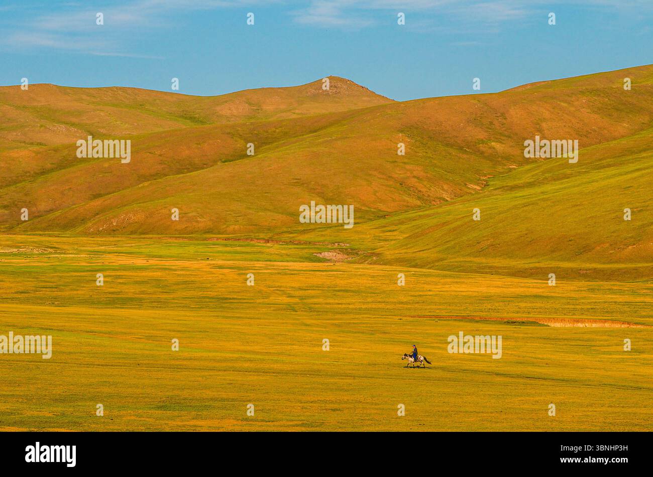 Lone Mongolian horseback rider travels through grasslands, Bogd Khan ...