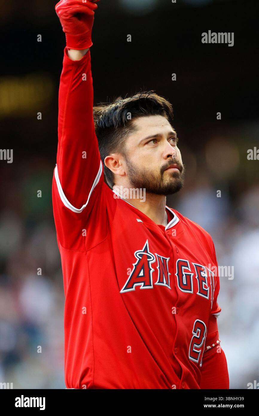 ATLANTA, GA - JULY 02: Los Angeles Angels catcher Travis d'Arnaud #25 ...