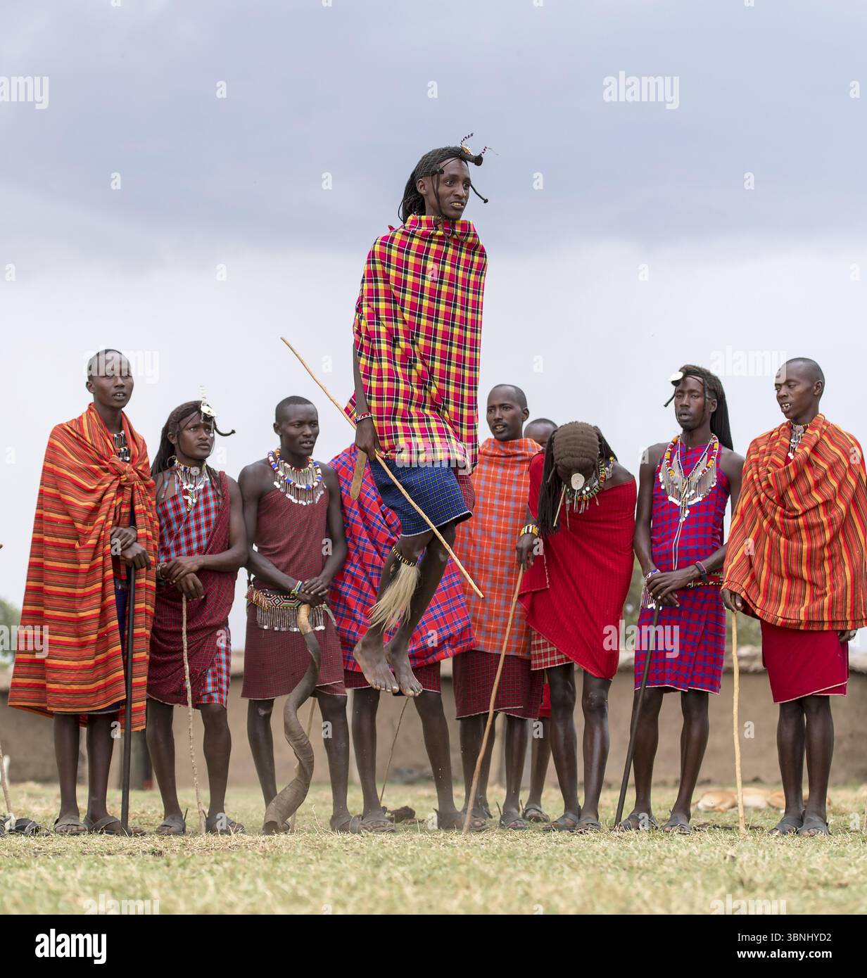Maasai warriors perform the traditional dance, jumping in the air ...