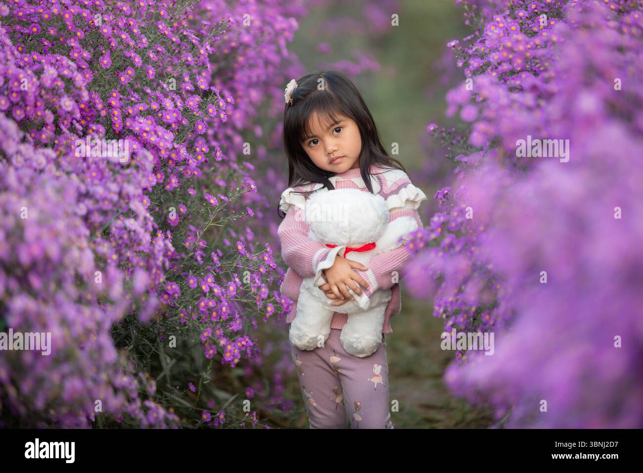 The children girl of vast flower field in full bloom stretches Stock ...