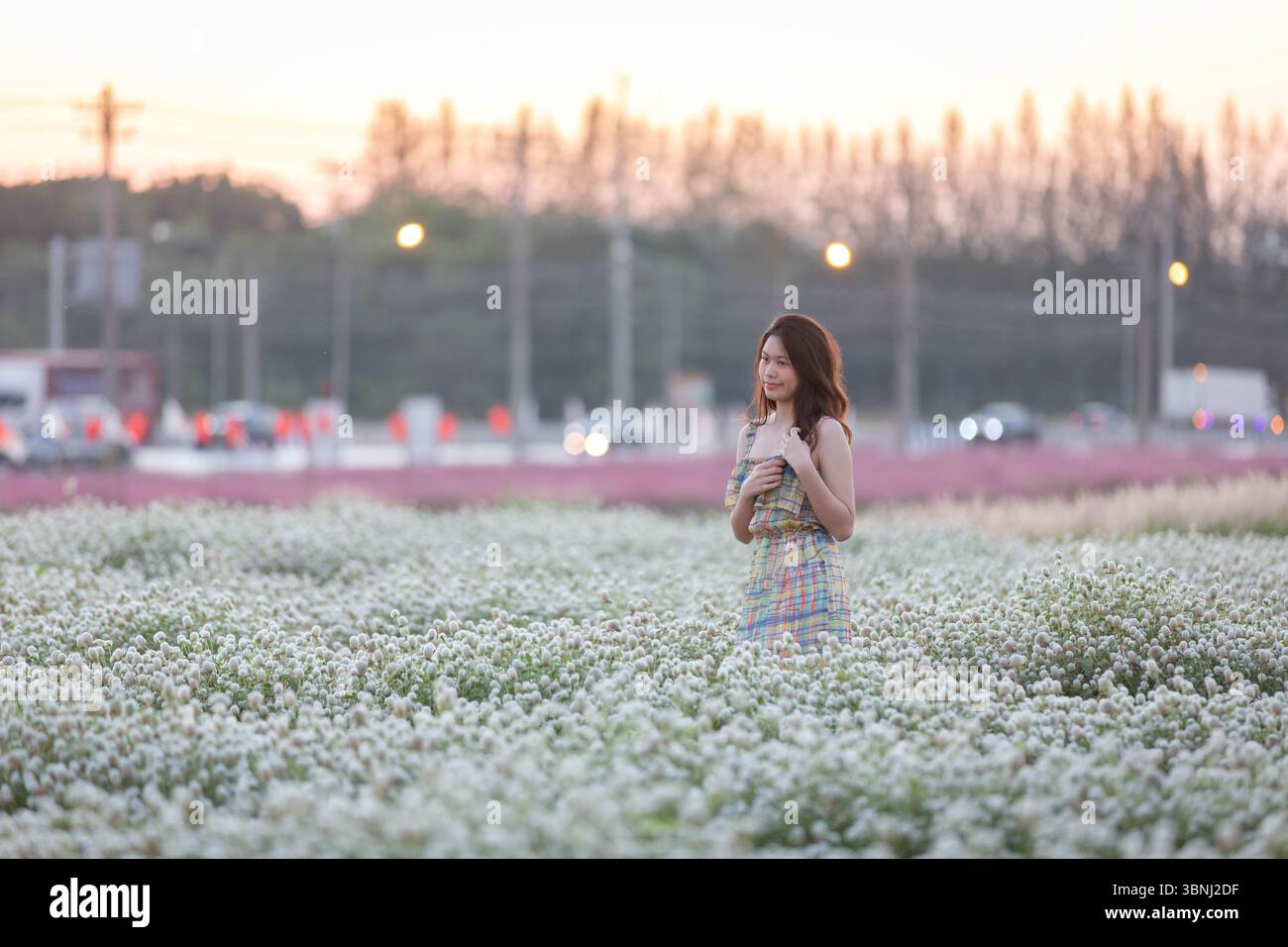 The beauty women of vast flower field in full bloom stretches. The ...