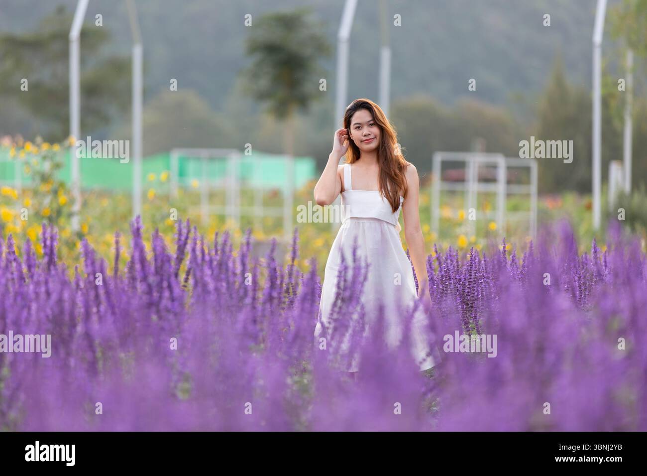 The beauty women of vast flower field in full bloom stretches. The ...