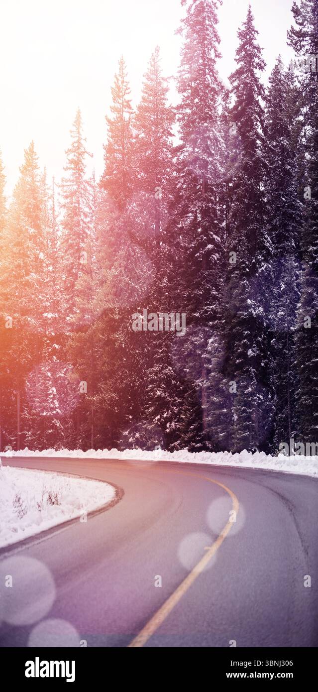 Road through snowy forest Stock Photo - Alamy