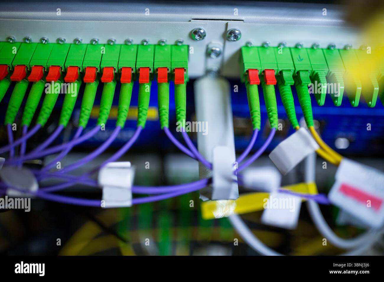 flat design is showing fiber optic patch panel on rack with green SC or ...
