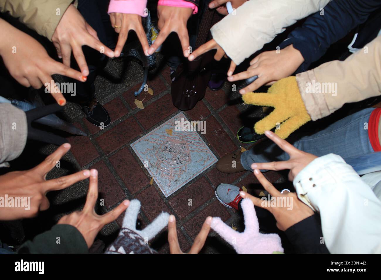 Diverse Group of People Forms a Circle with their hands creating a star ...