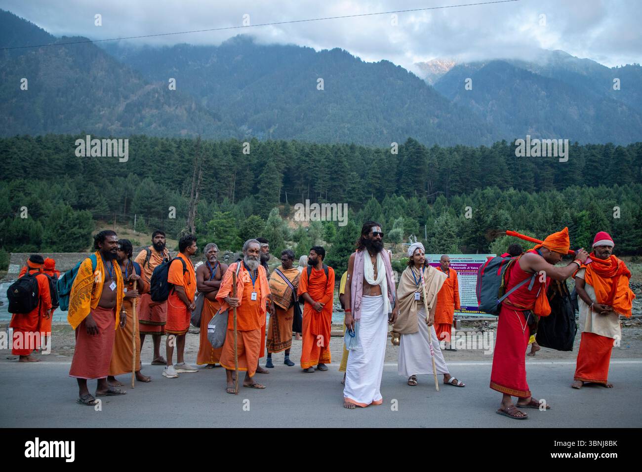 Hindu pilgrims walk along a road during the annual pilgrimage to the ...