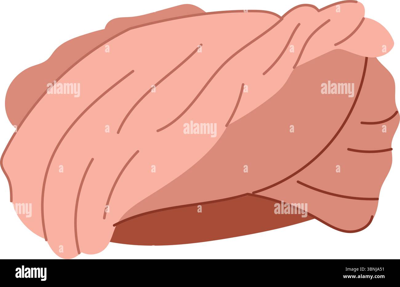 pagri oriental headdress cartoon vector illustration Stock Vector Image ...