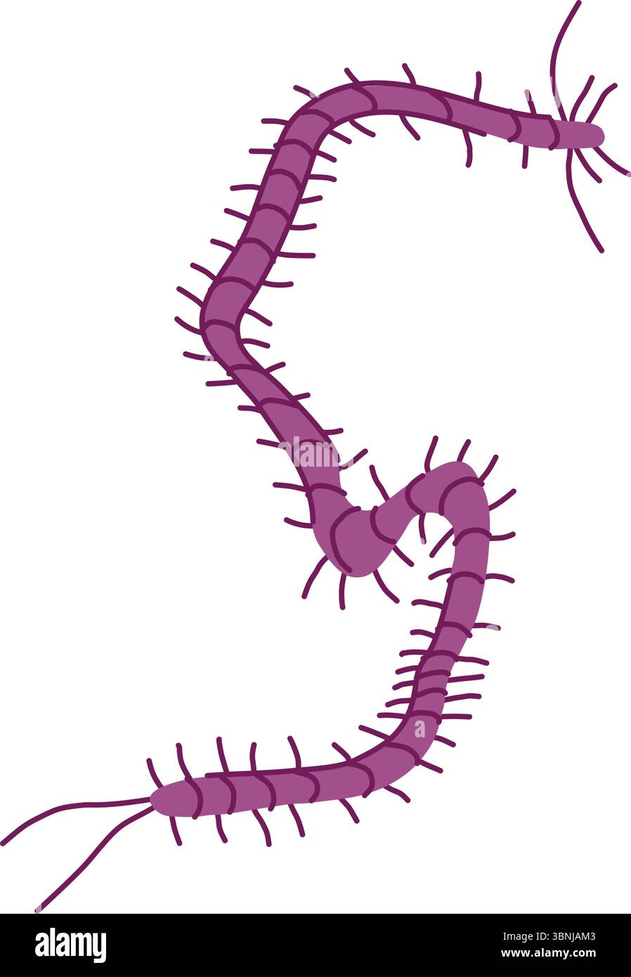 organism parasite cartoon vector illustration Stock Vector Image & Art ...