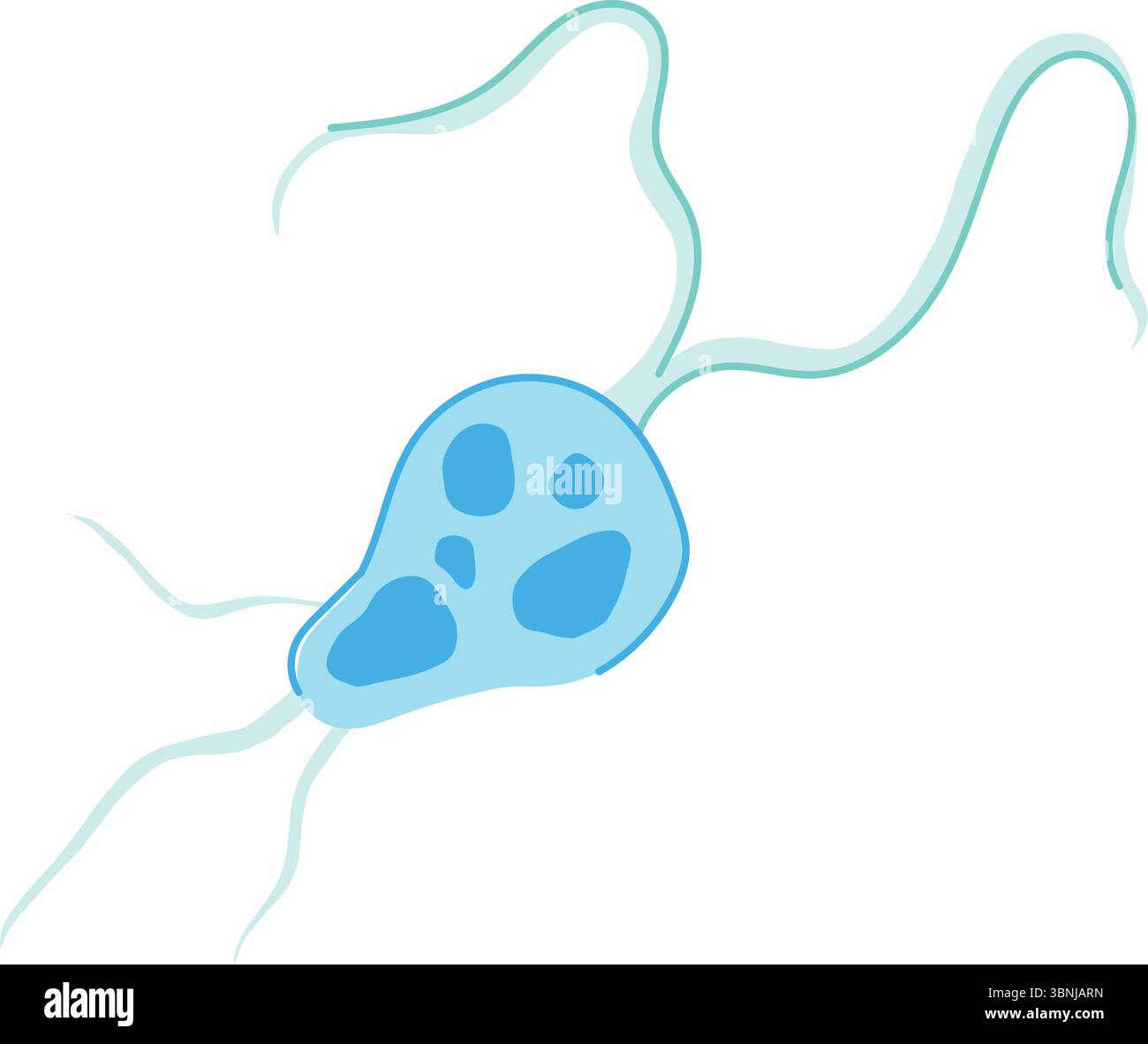 protozoa parasite cartoon vector illustration Stock Vector Image & Art ...