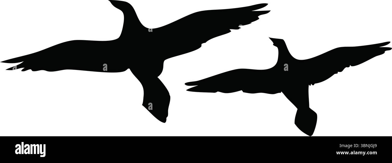 Flying Bird Silhouettes Vector, Black Flock Clipart, Isolated Animal ...