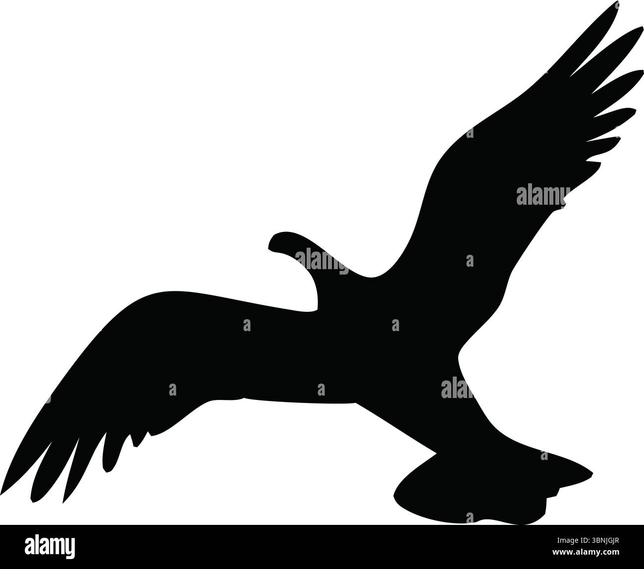 Bird Silhouette with Spread Wings Vector, Black Clipart, Isolated ...