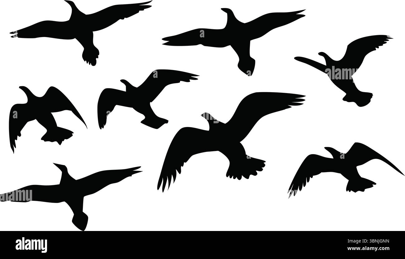 Flying Bird Silhouettes Vector, Black Flock Clipart, Isolated Animal ...